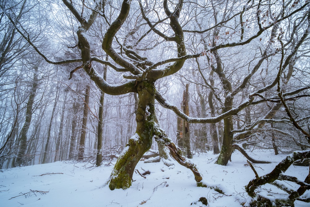 Interview with photographer and musician Markus Stock [ENG] - Dark-Art