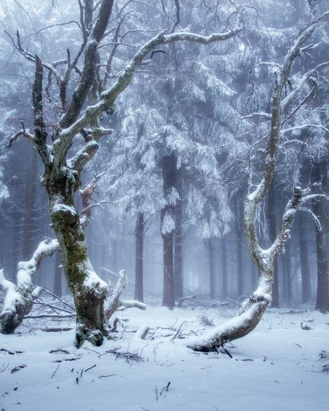 Interview with photographer and musician Markus Stock [ENG] - Dark-Art